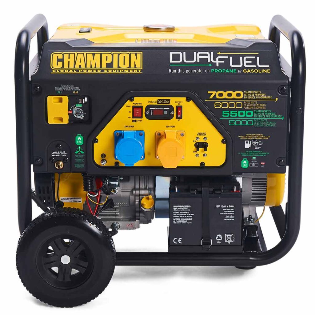Champion CPG7500E2-DF Dual Fuel Generator | Generators Direct