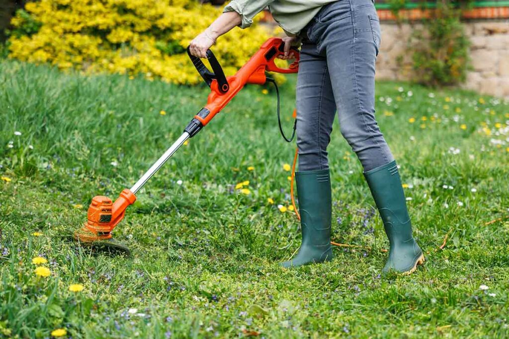 Grass Trimmer Buying Guide: Everything You Need to Know - Generators Direct