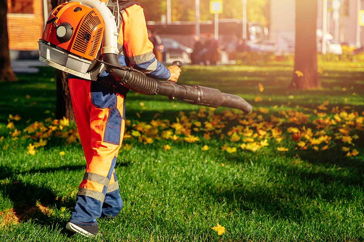 Your Complete Leaf Blower Buying Guide | Generators Direct